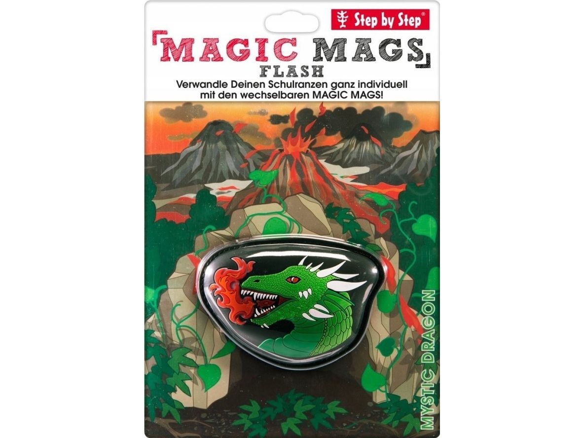 Step by Step STEP BY STEP SET REPLACEMENT ELEMENT MAGIC MAGS FLASH ...